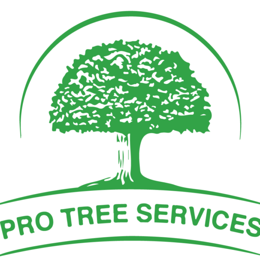 Contact Us - Pro Tree Services